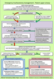 033 - Perioperative management of tracheostomies with Dr James Anderson ...