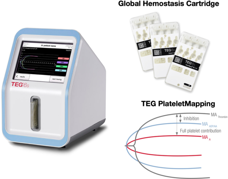 TEG6s Educational Material - obsgynaecritcare